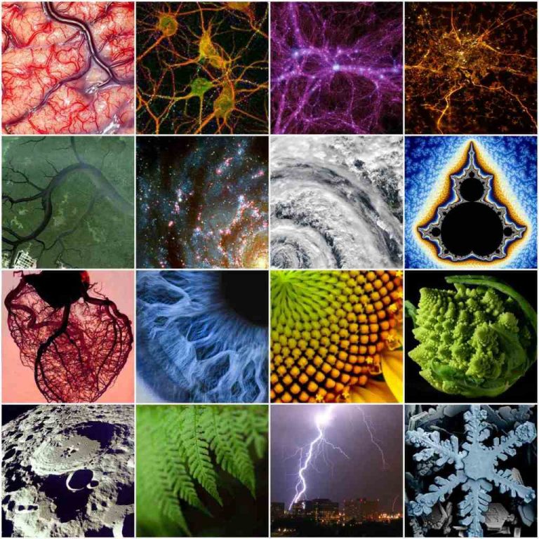 Home - Fractal.Institute